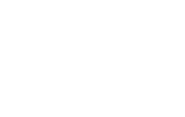 Iberian Orca Guardians - Protecting Iberian Orcas - Iberian Orca Guaridans